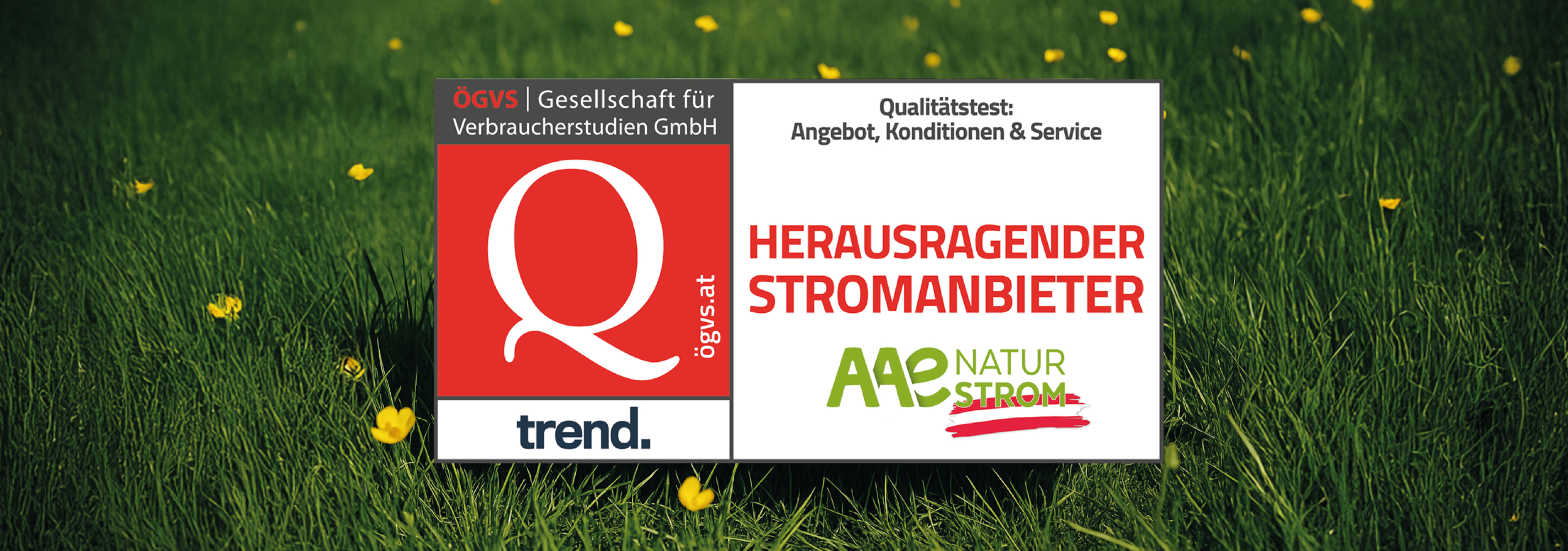 Ausgezeichneter Service führt zu zufriedenen Kunden - AAE Naturstrom